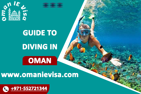 Diving In Oman 2026 - Best Dive Sites, Tips & Visa Guide