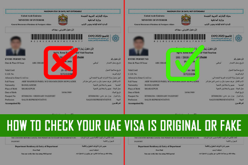 How To Find The Uae Visa Number And Uid Number